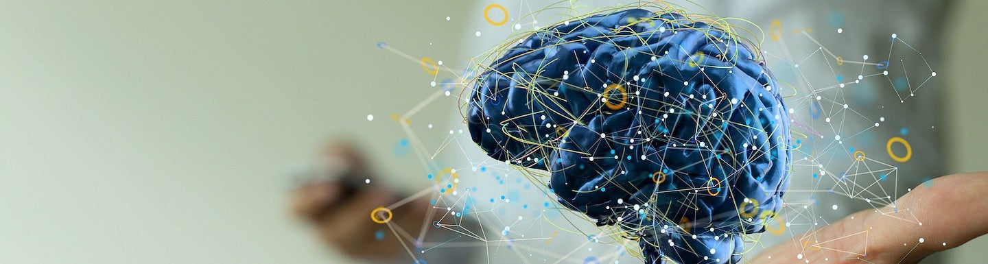 Neuroscience | College of Arts and Sciences