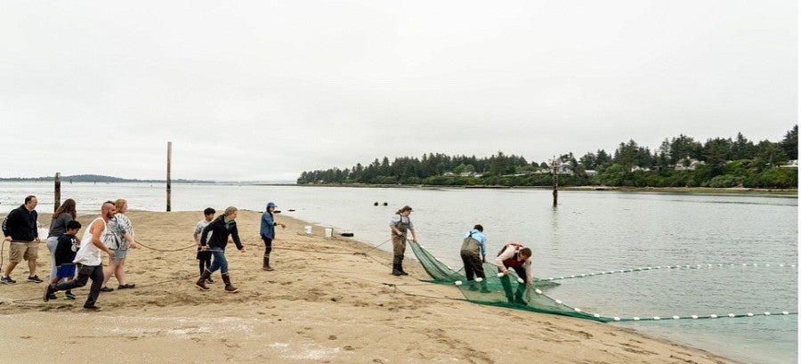 Building Community One Sea Creature at a Time | College of Arts and ...